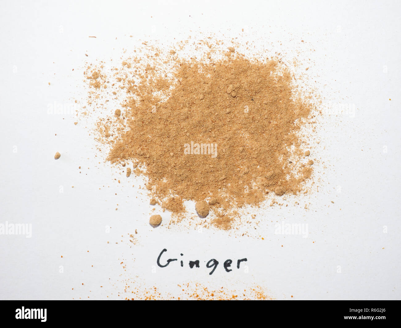 Ginger (Zingiber officinale) powder Stock Photo - Alamy