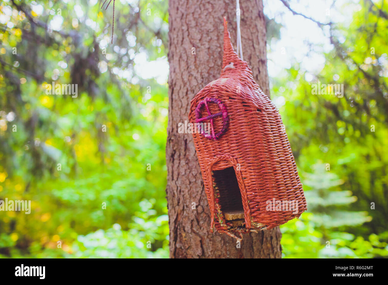 Red squirrel feeder box hi-res stock photography and images - Alamy