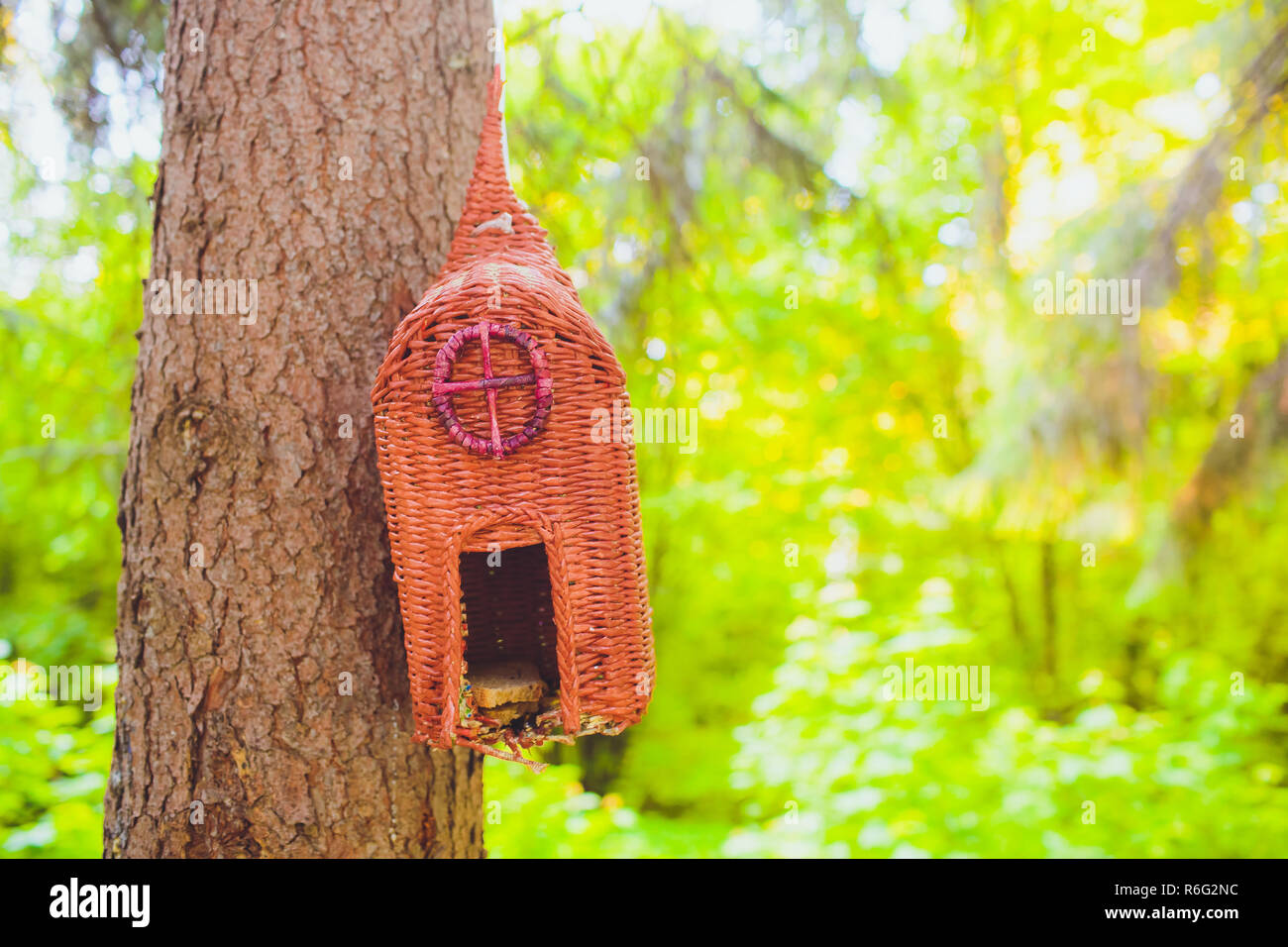 Red squirrel feeder box hi-res stock photography and images - Alamy