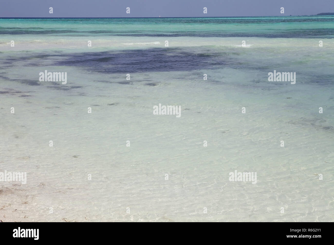 Tropical lagoon Maldives Stock Photo - Alamy