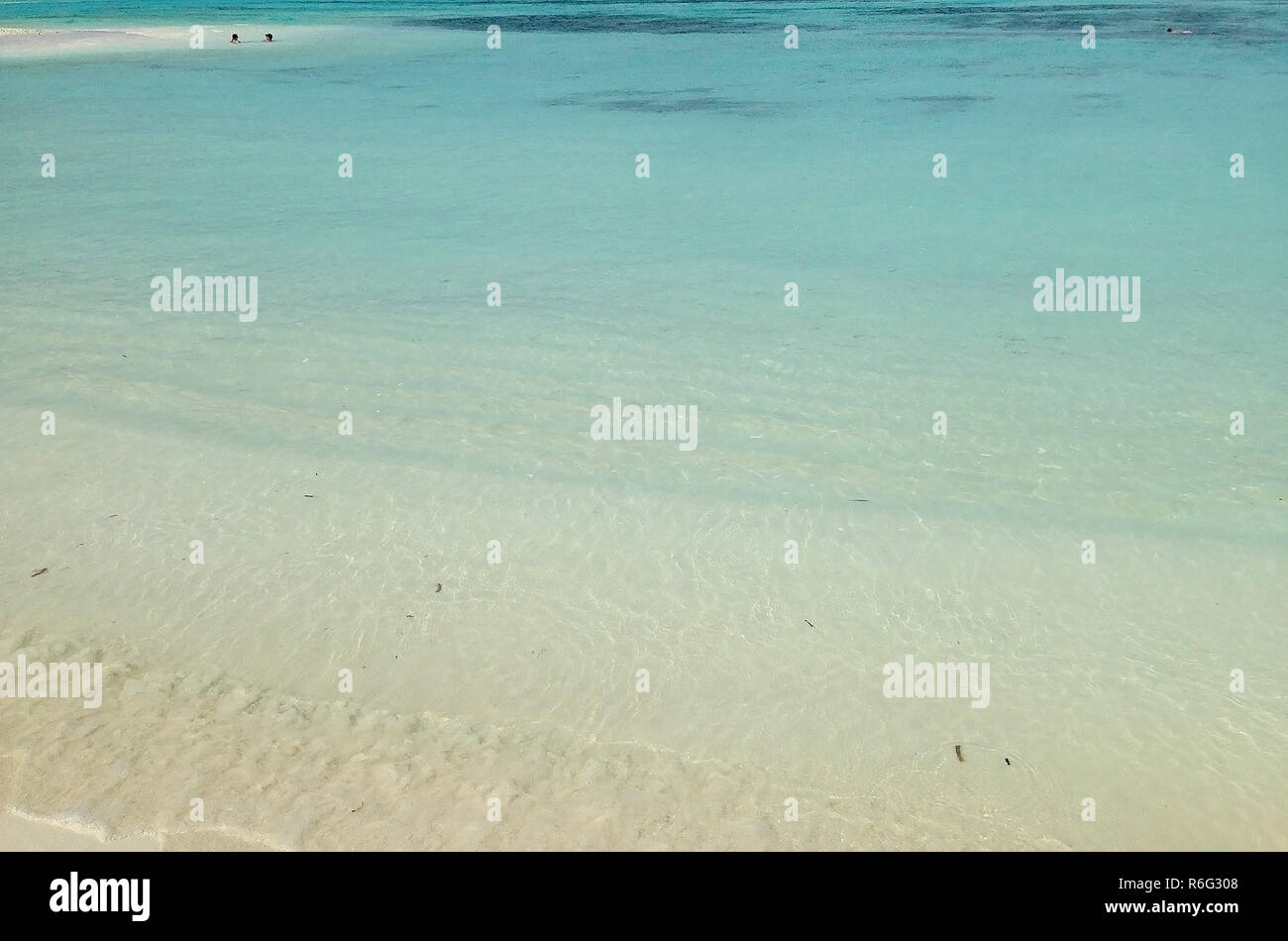 Tropical lagoon Maldives Stock Photo - Alamy