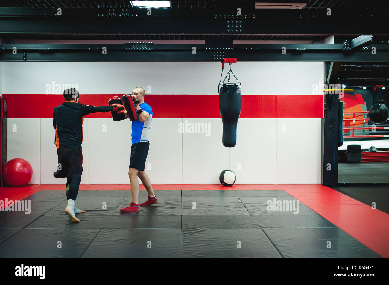 Two professionals fighters training together with punching pads at gym ...