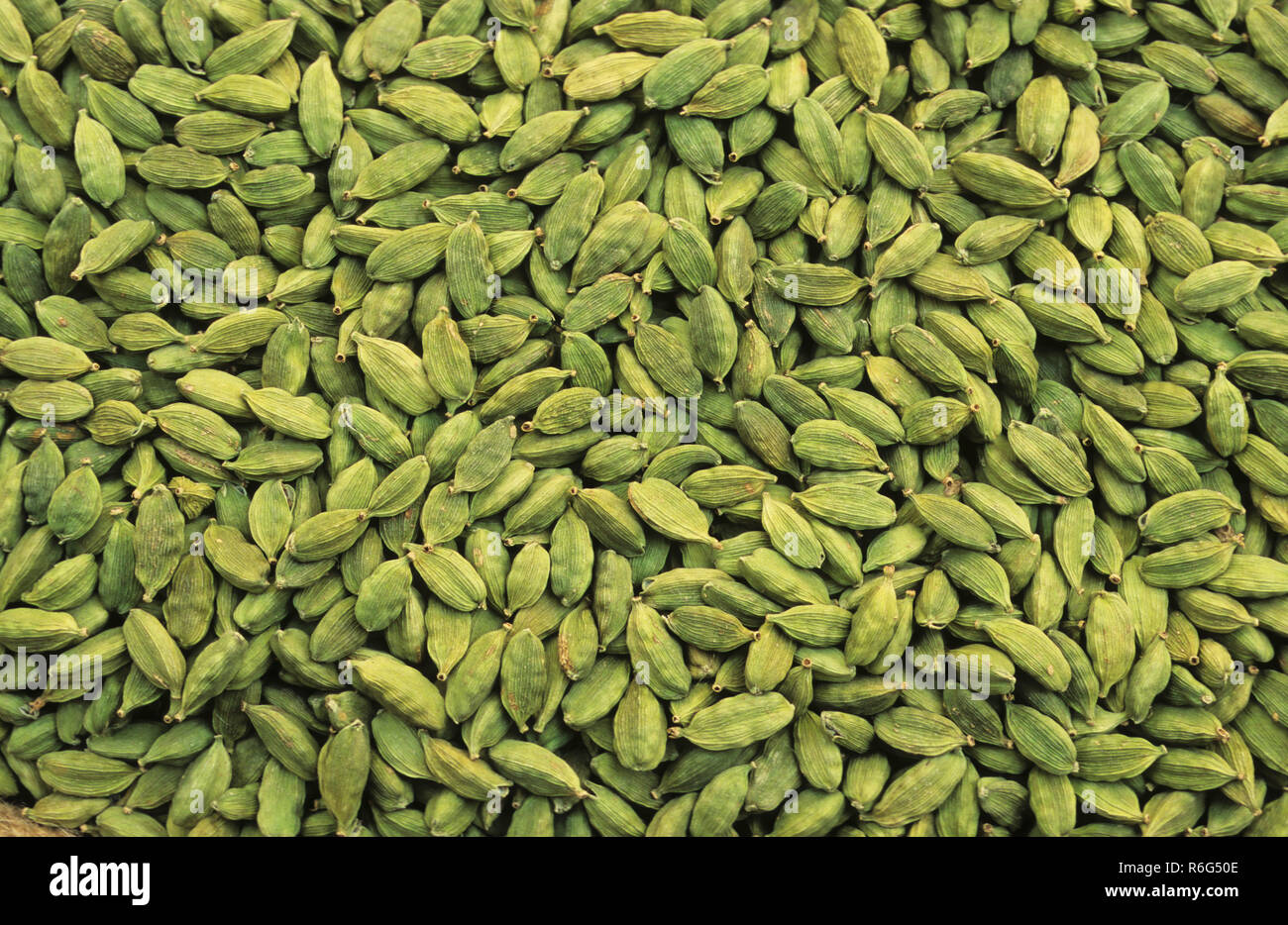 Indian cardamoms hi-res stock photography and images - Alamy
