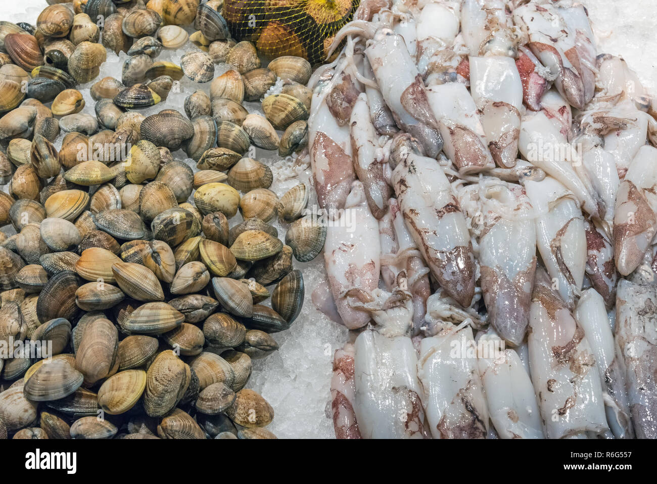 Cuttlefish shells hi-res stock photography and images - Alamy