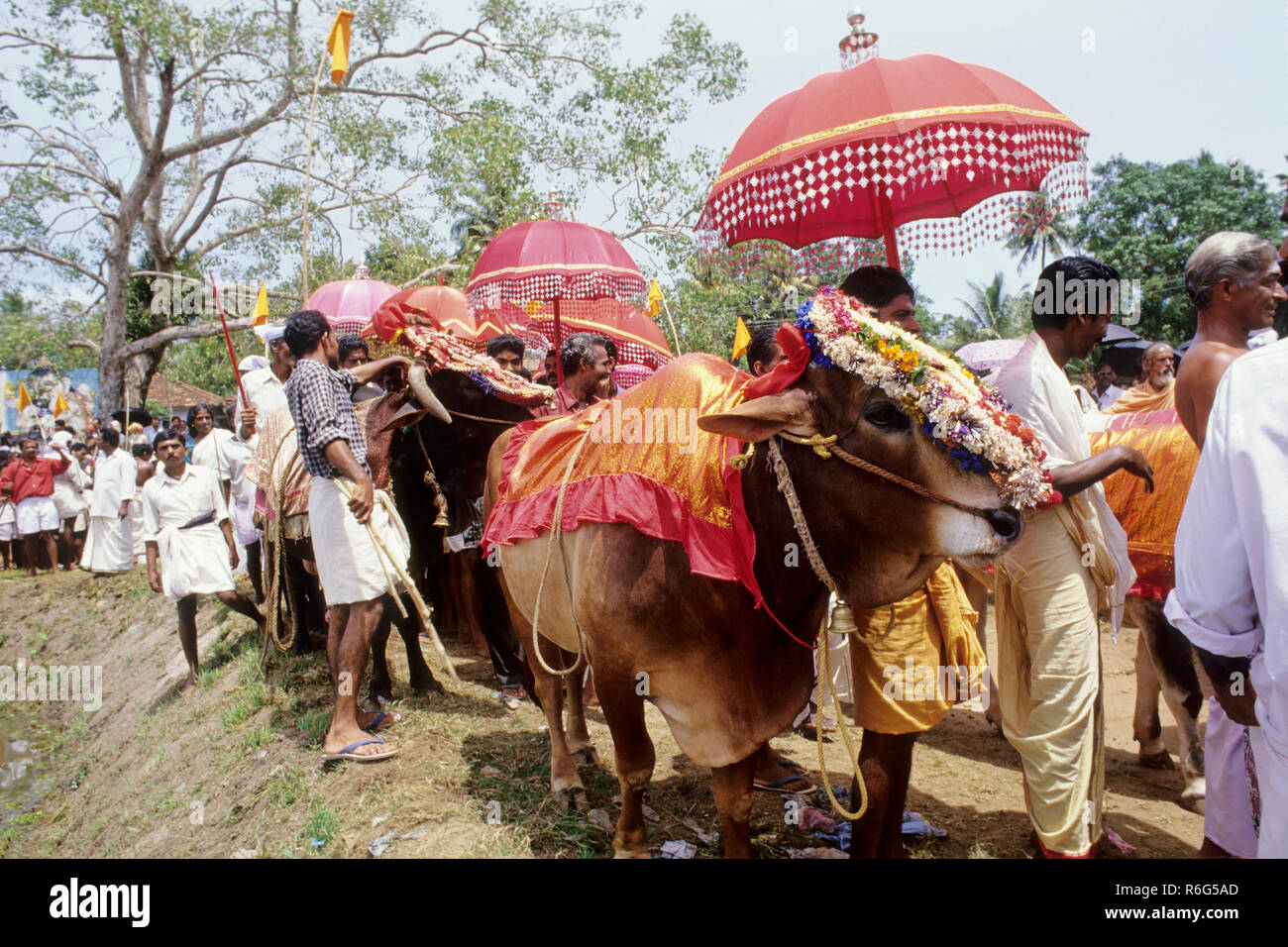 Oachira High Resolution Stock Photography and Images - Alamy