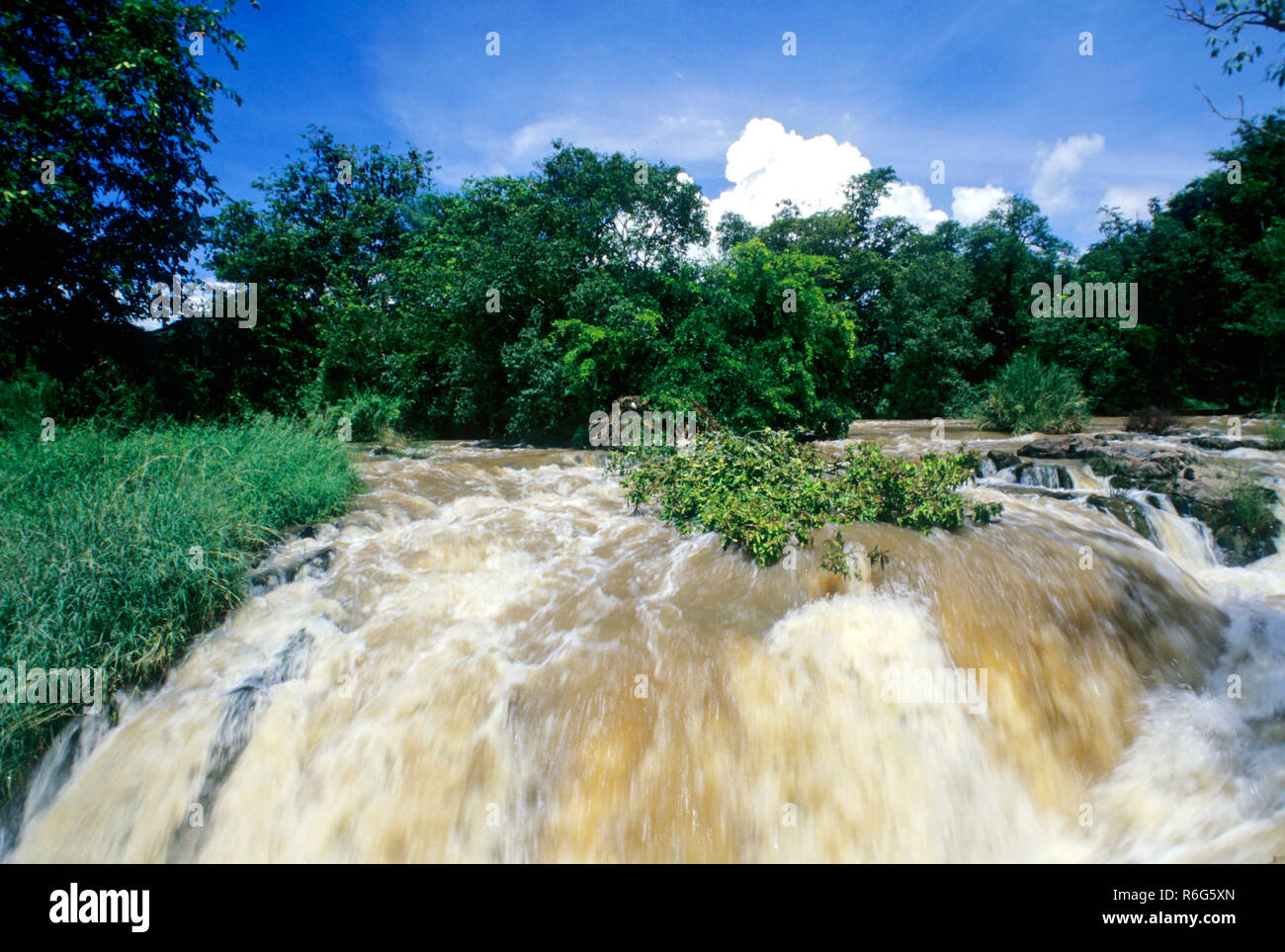 Cauvery River, Tamil Nadu, India Stock Photo - Alamy
