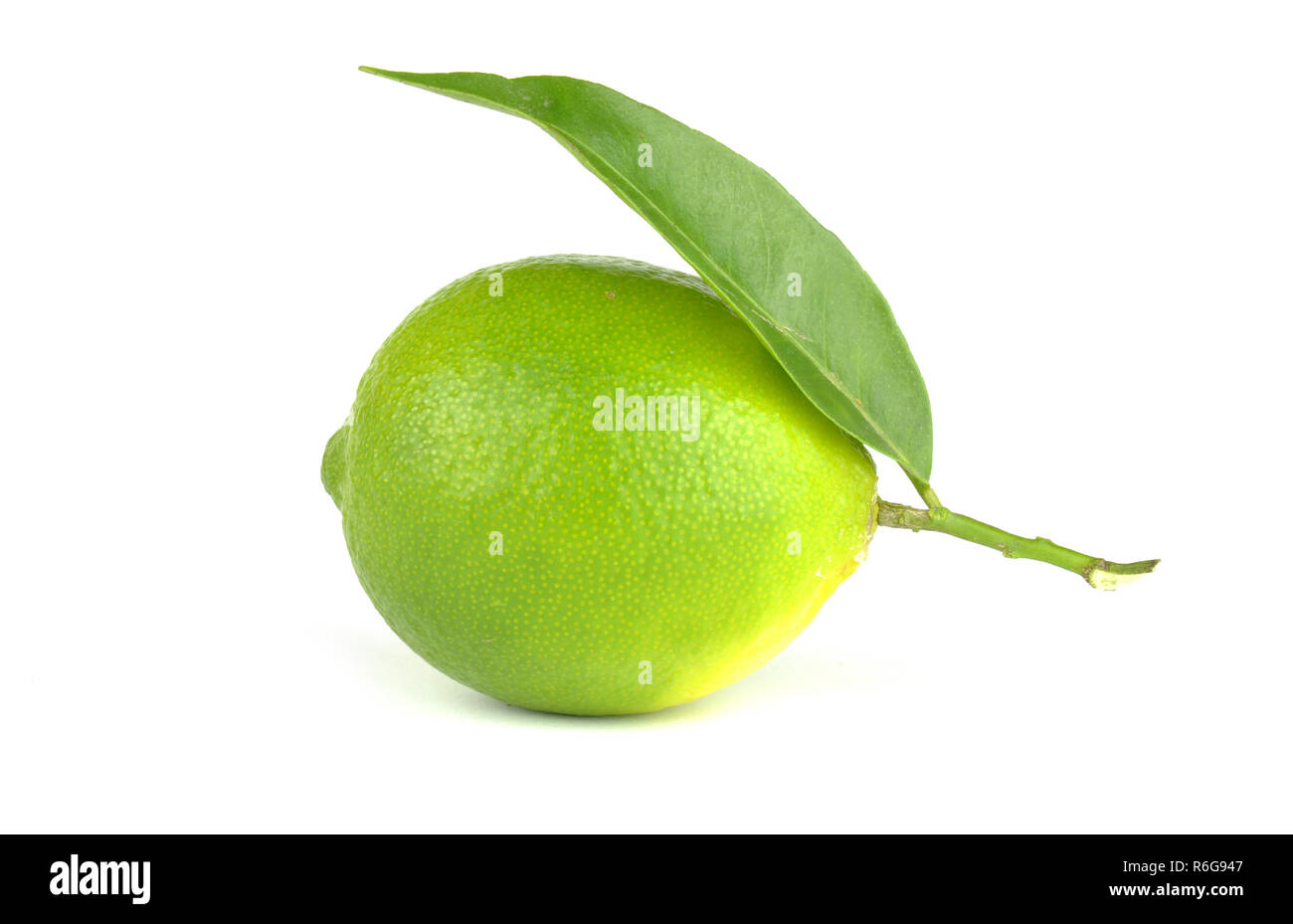 Lime with leaf isolated on white Stock Photo - Alamy