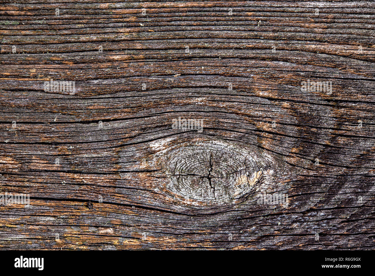 texture- gray wooden ground Stock Photo - Alamy