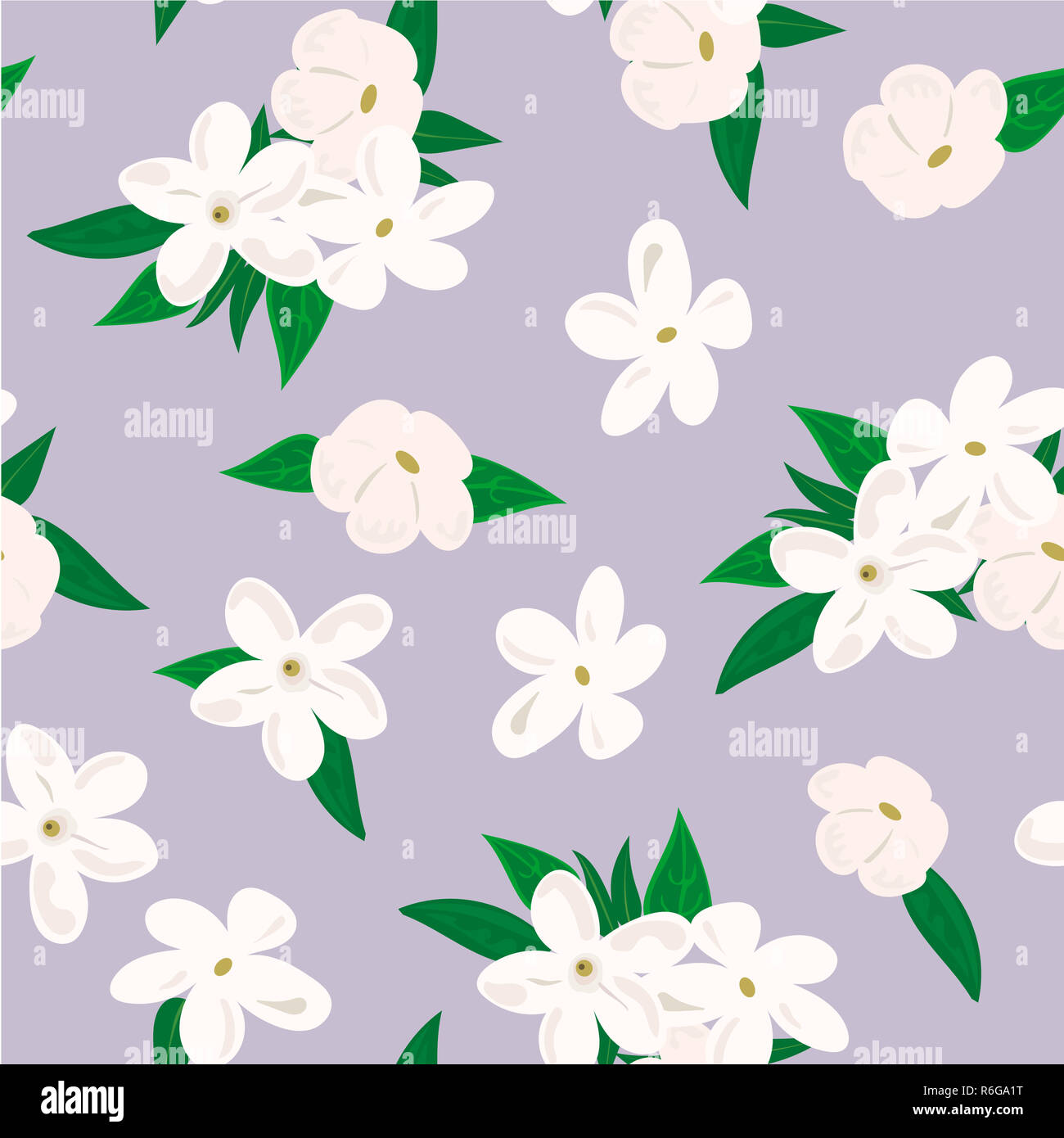 Vector seamless pattern with jasmine flowers. on purple background ...