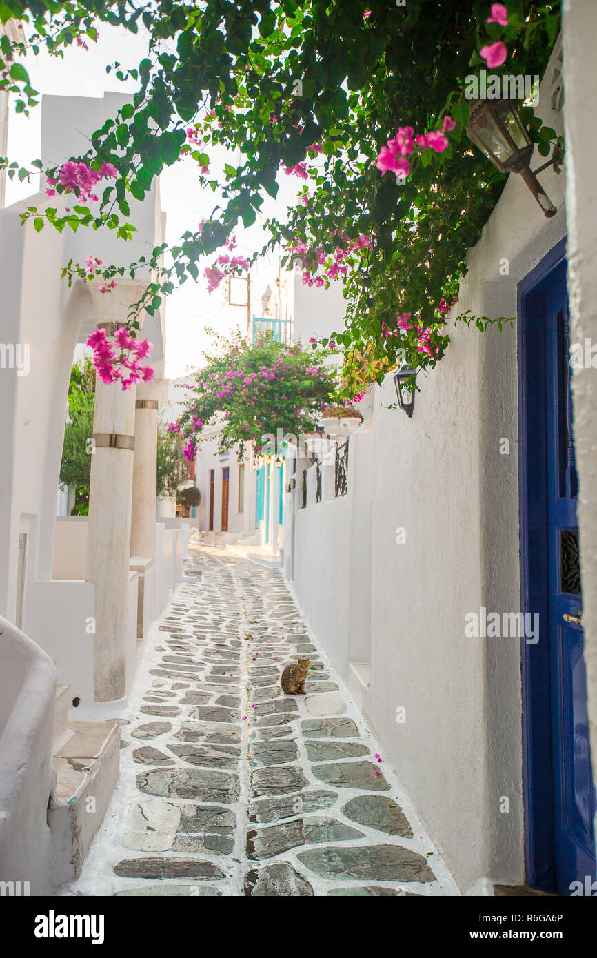 Traditional greek village. Streets and white houses Stock Photo - Alamy