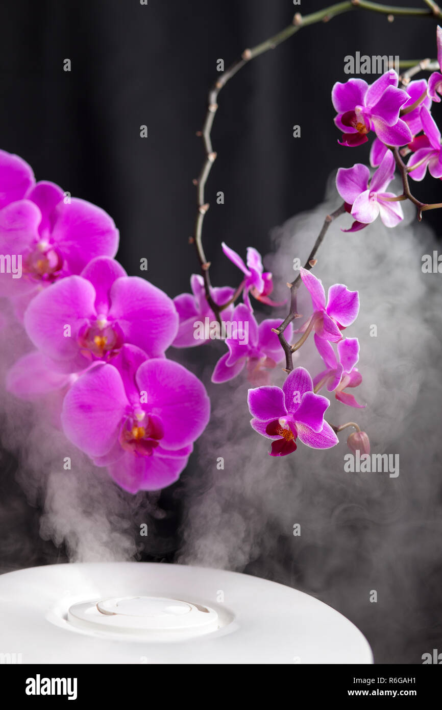 From humidity hi-res stock photography and images - Alamy