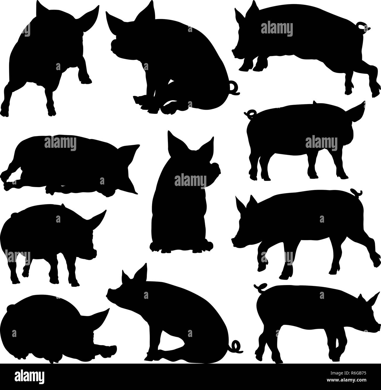 Group of pigs Stock Vector Images - Alamy