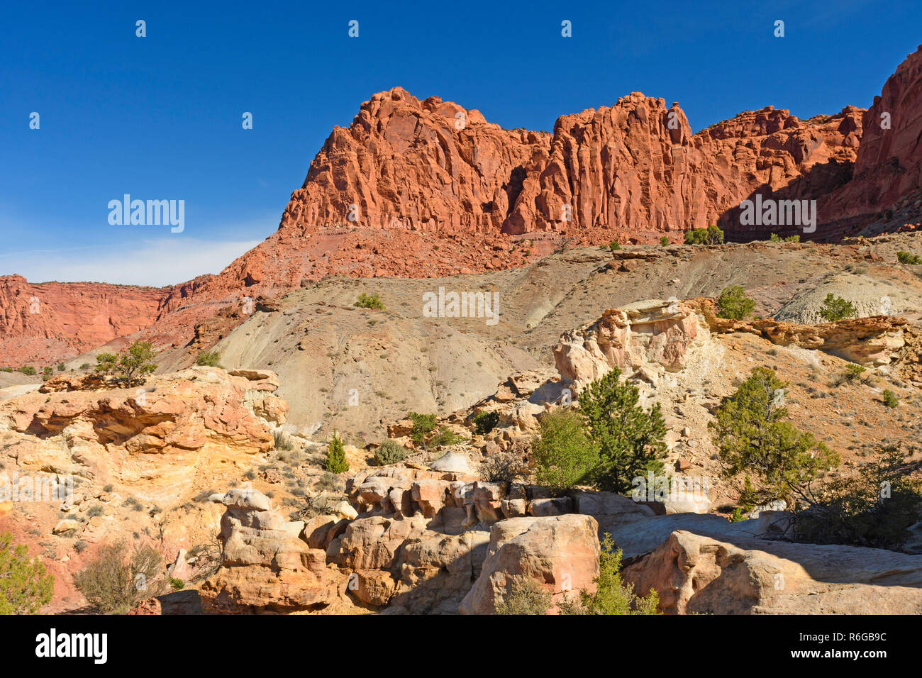 Canyon Wall Panorama in Spring Stock Photo - Alamy