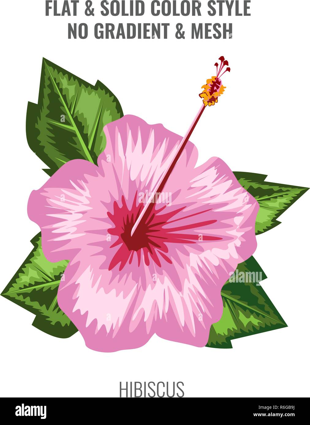 Hibiscus blooming flower with watercolor or hand drawn style. Flat and ...