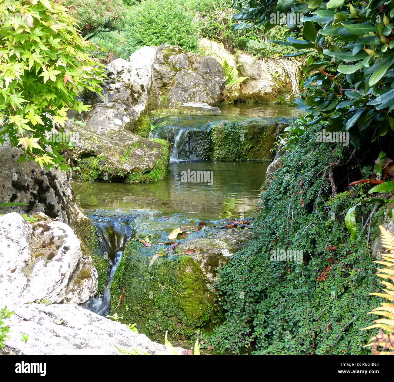japanese garden with watercourse Stock Photo - Alamy