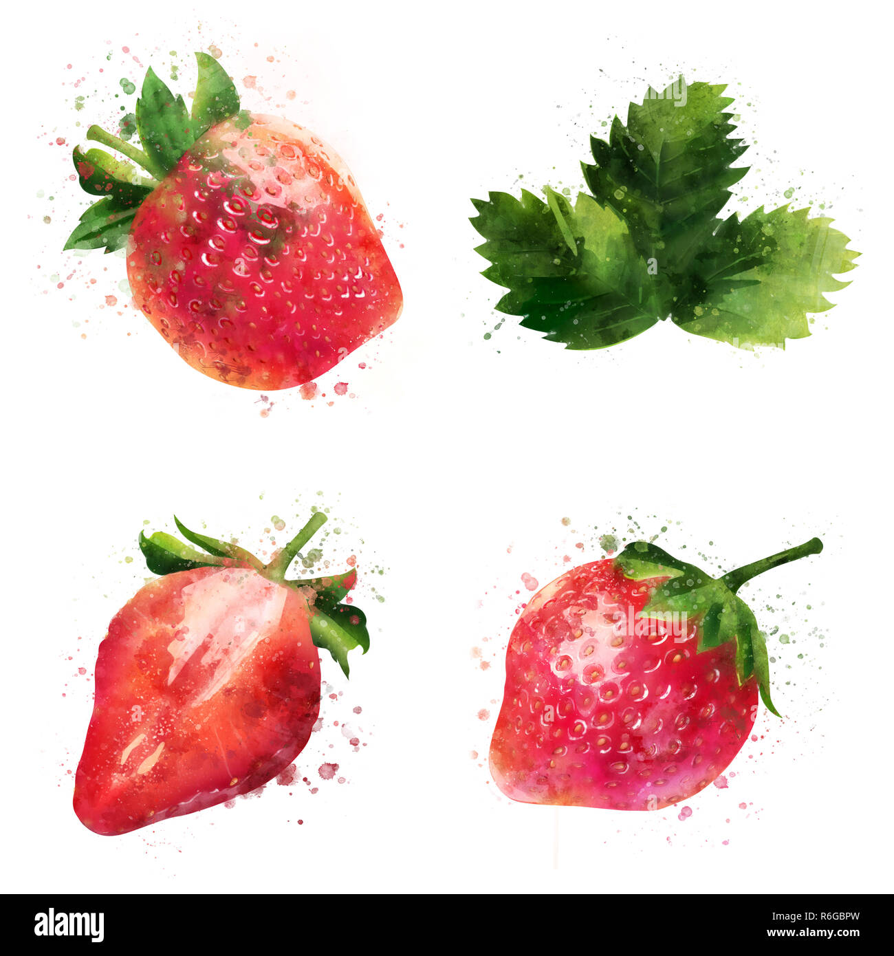 Strawberry on white background. Watercolor illustration Stock Photo - Alamy