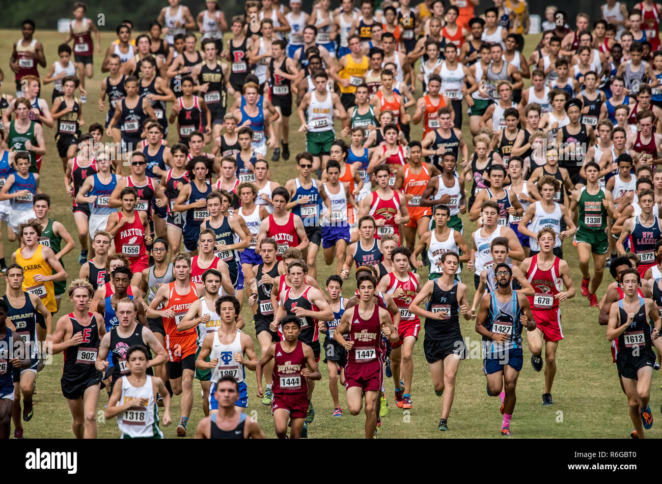 Cross County boys running race - running team and competition Stock ...