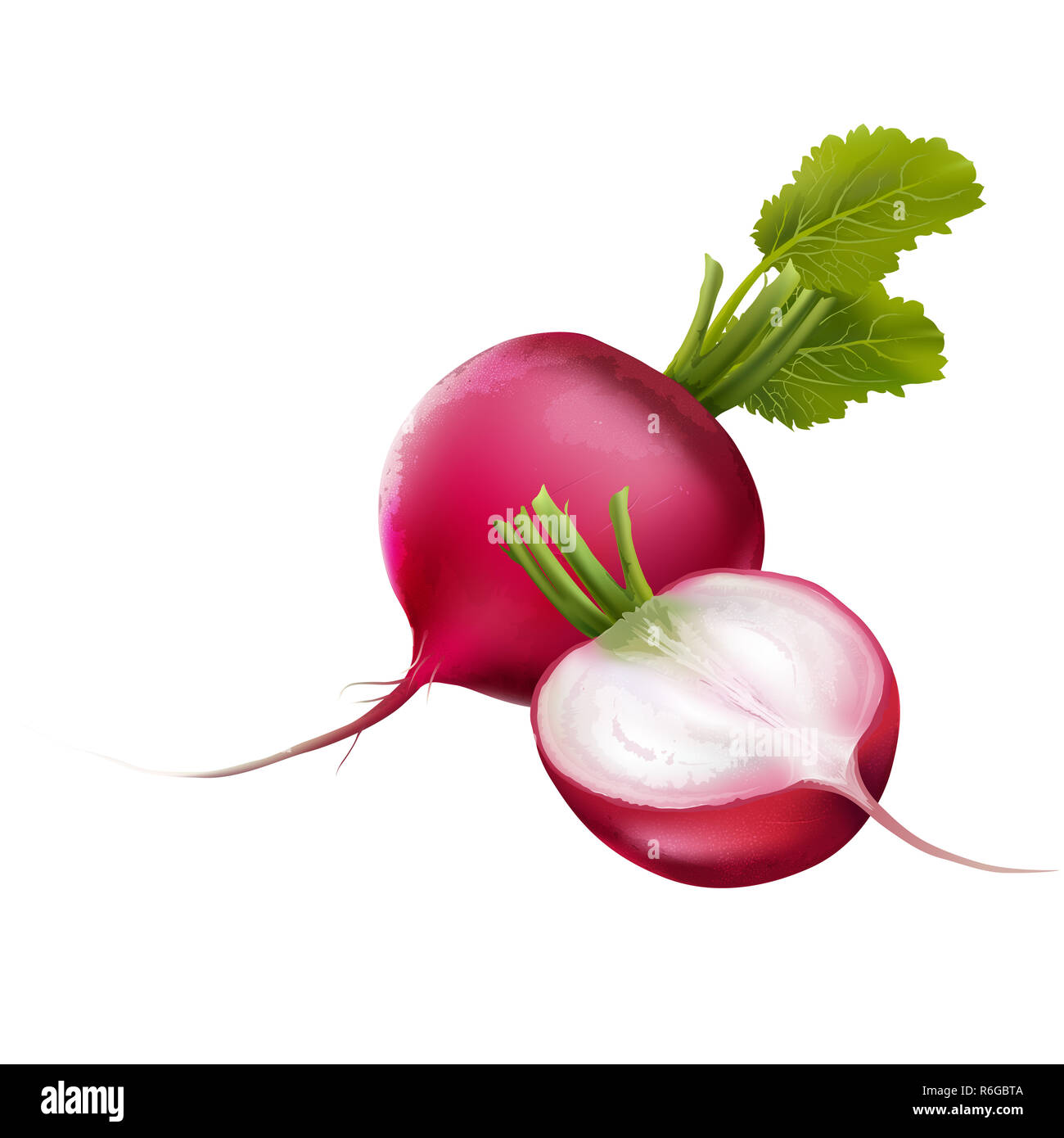 Radish on white background Stock Photo - Alamy