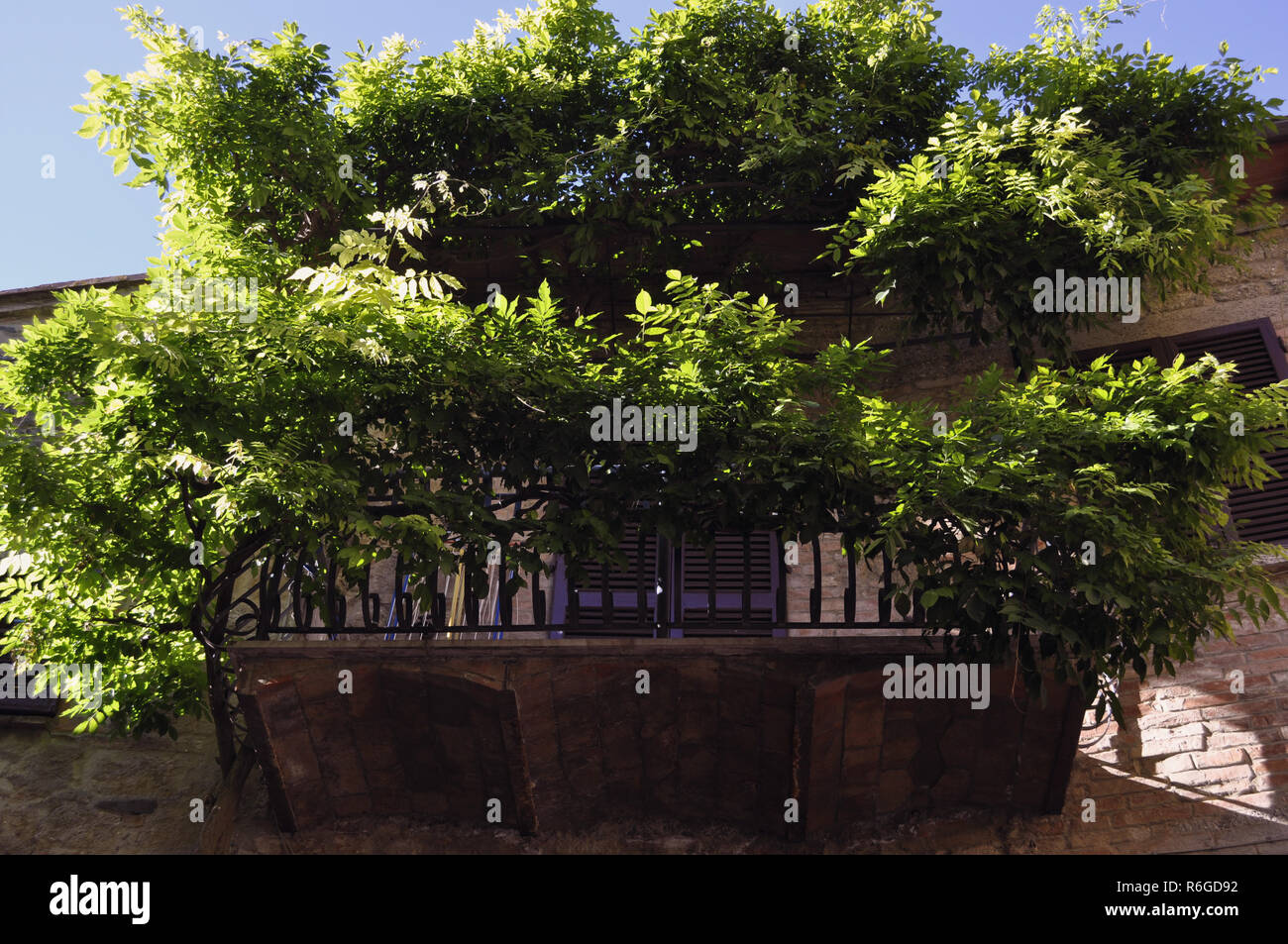 Â house facade with overgrown balcony in montecchielo,tuscany Stock ...