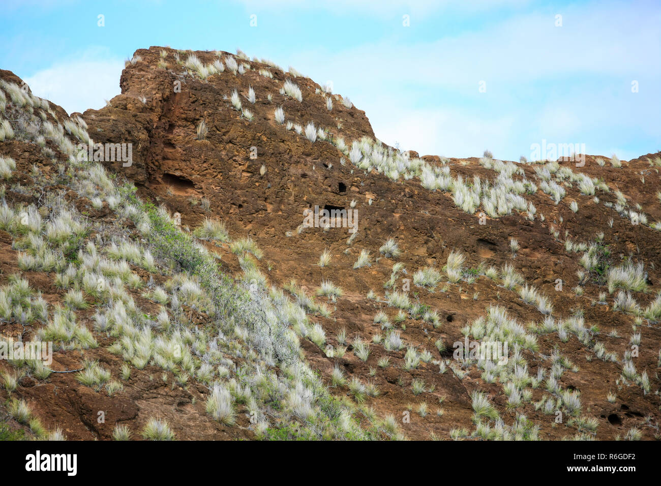 Volcanic rock inside Diamond Head crater, Oahu, Hawaii Stock Photo - Alamy Volcanic rock inside Diamond Head crater, Oahu, Hawaii Stock Photo - Alamy