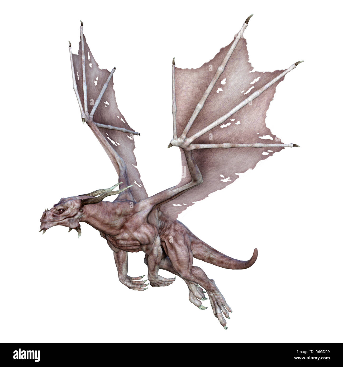 3D Rendering Fantasy Vampire Dragon on White Stock Photo - Alamy