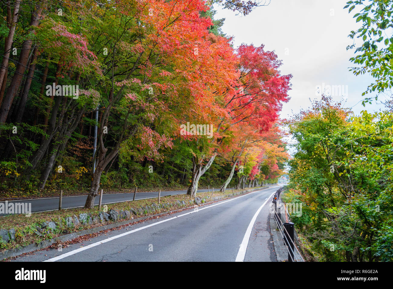 Country road with Beautiful autumn in Japan Stock Photo - Alamy