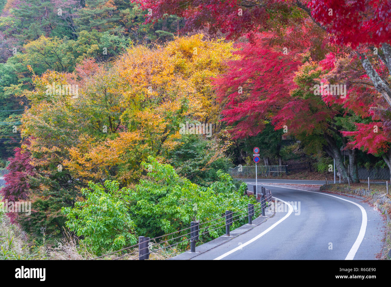 Country road with Beautiful autumn in Japan Stock Photo - Alamy