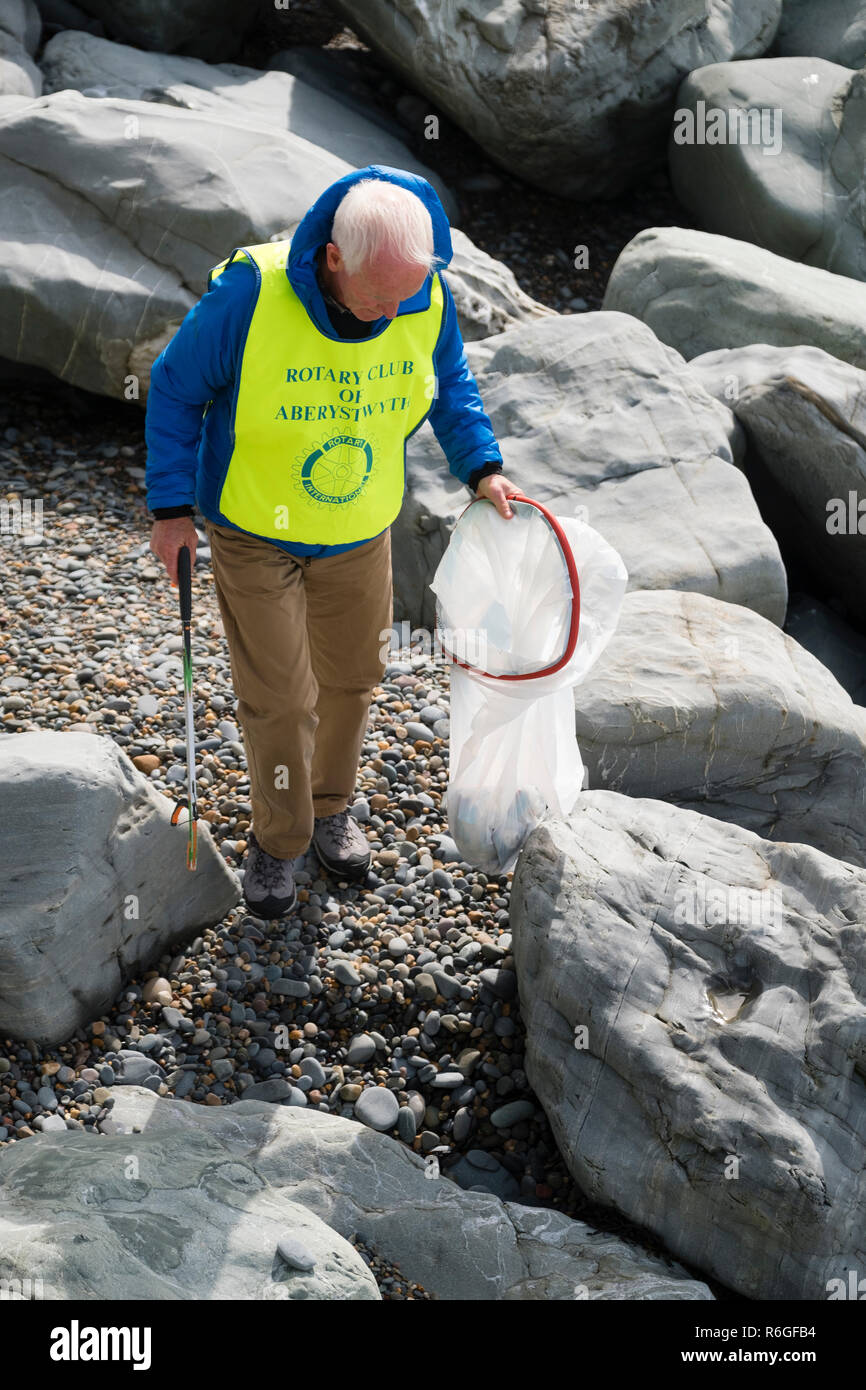 Aberystwyth Rotary Club members, wearing hi-vis tabards, volunteering ...