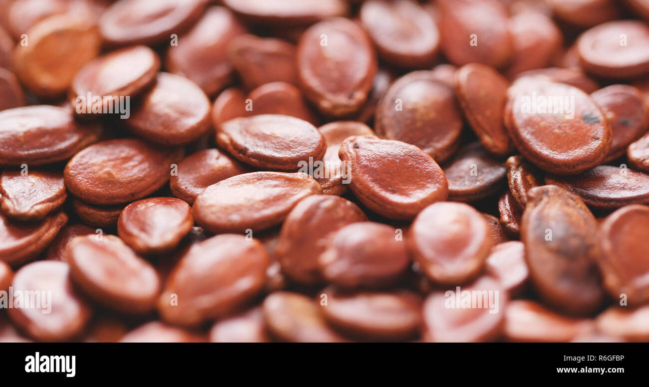Red watermelon seed Stock Photo - Alamy