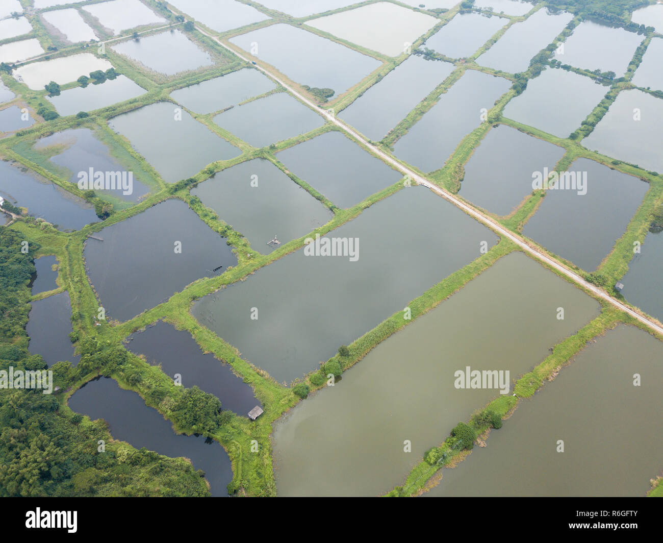 Fish hatchery pond Stock Photo - Alamy