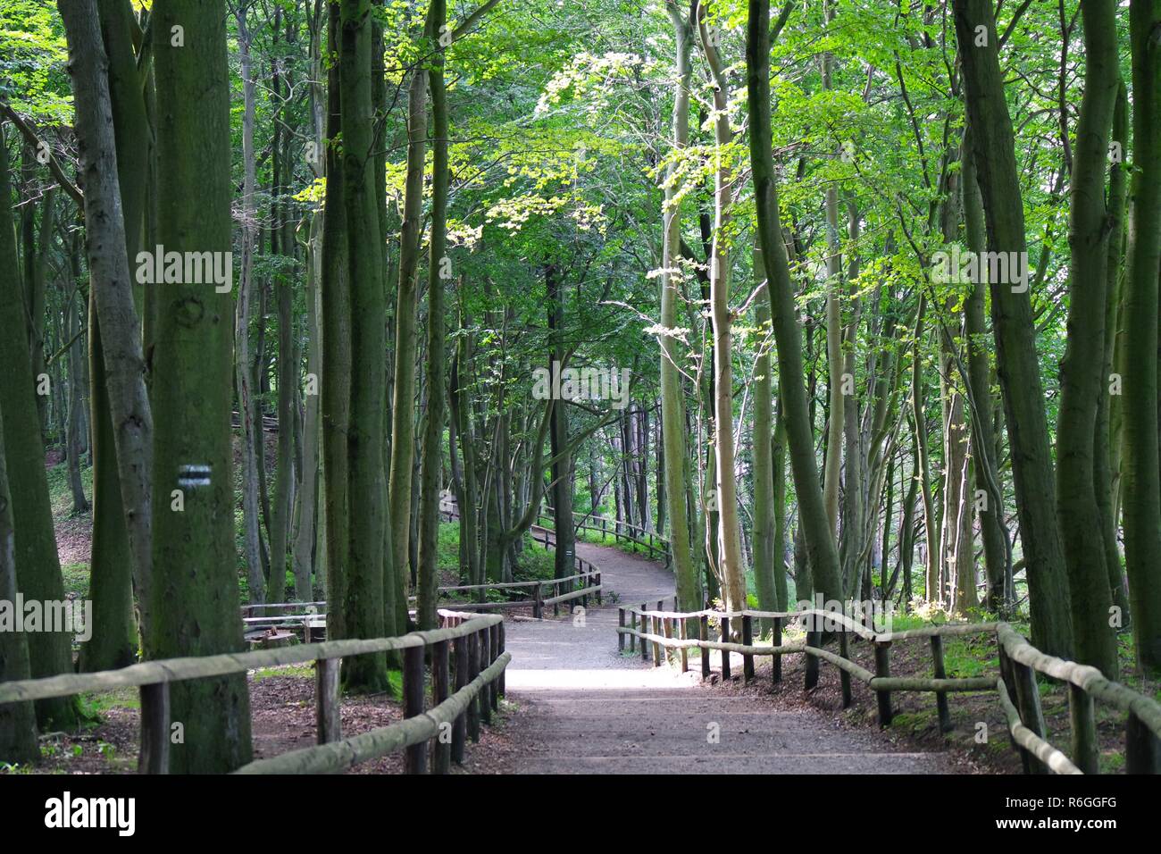 National Park Wollin High Resolution Stock Photography and Images - Alamy