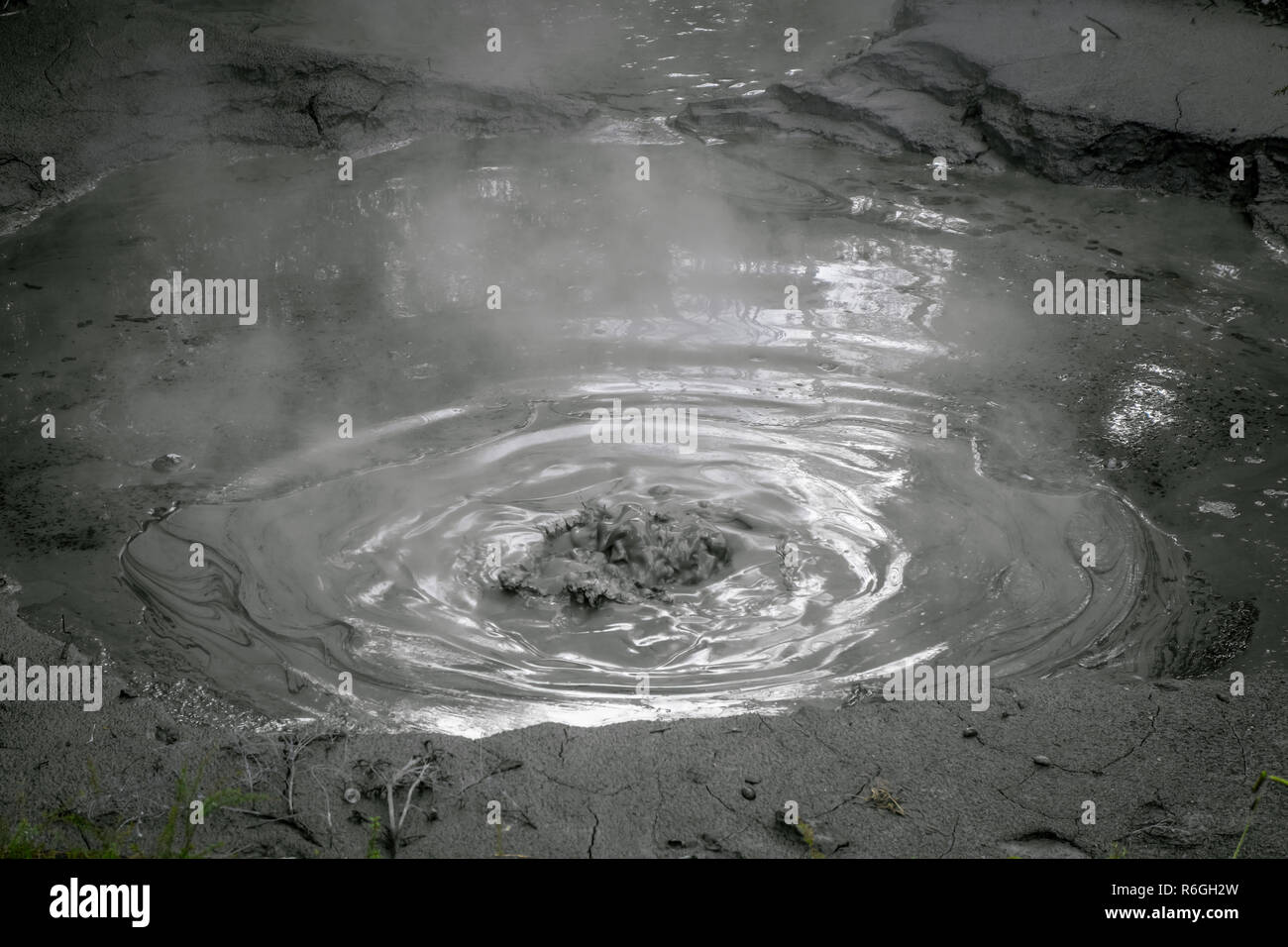 Rotorua boiling mud pool, New Zealand Stock Photo - Alamy