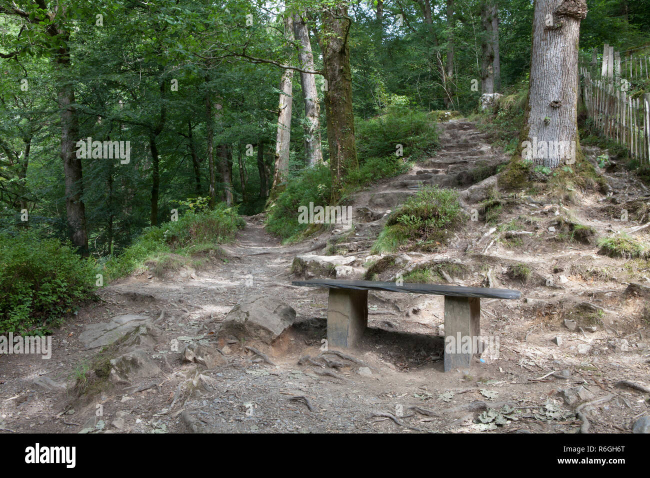 Environmental footpath hi-res stock photography and images - Alamy