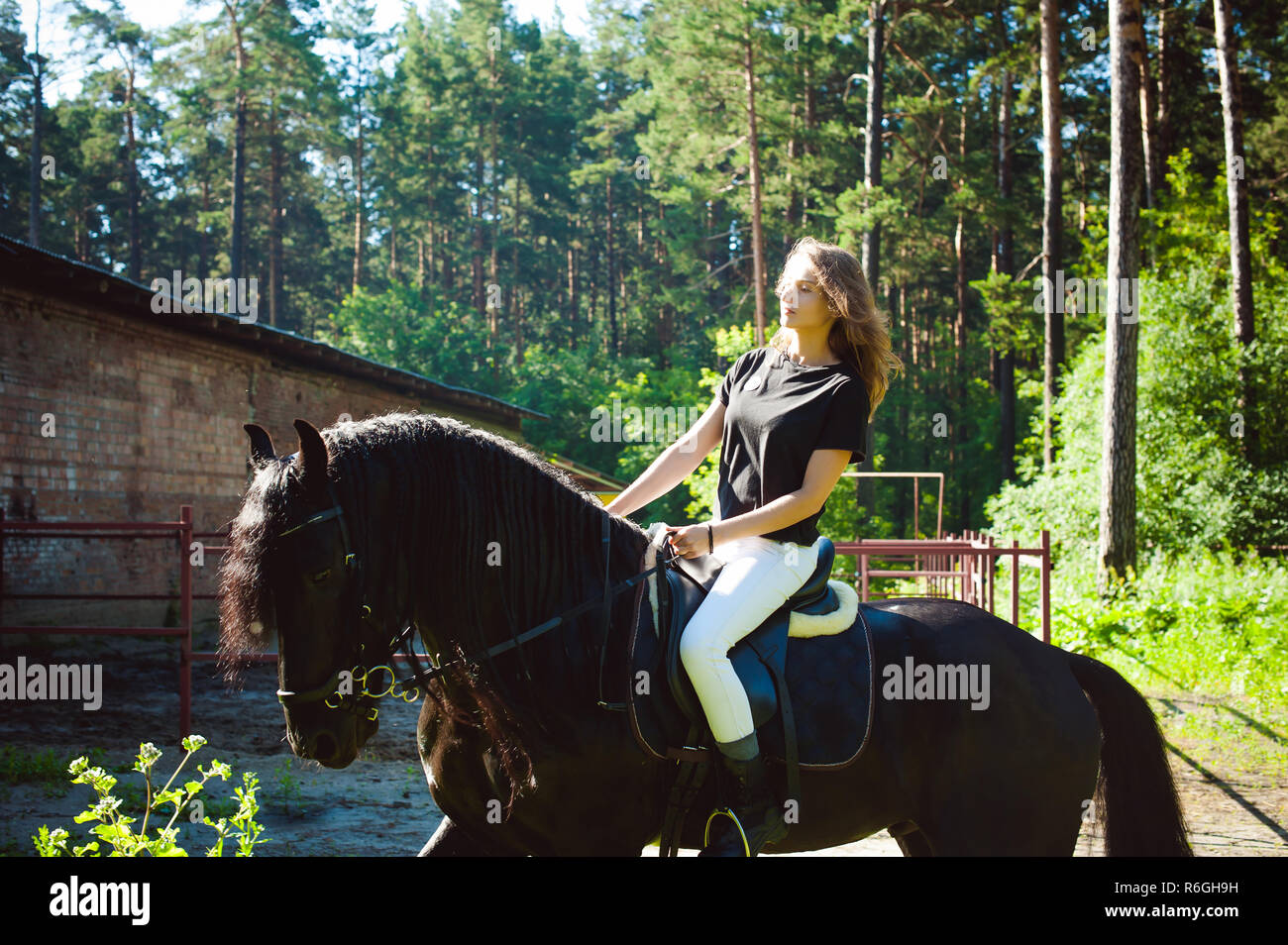 Woman Astride High Resolution Stock Photography and Images - Alamy
