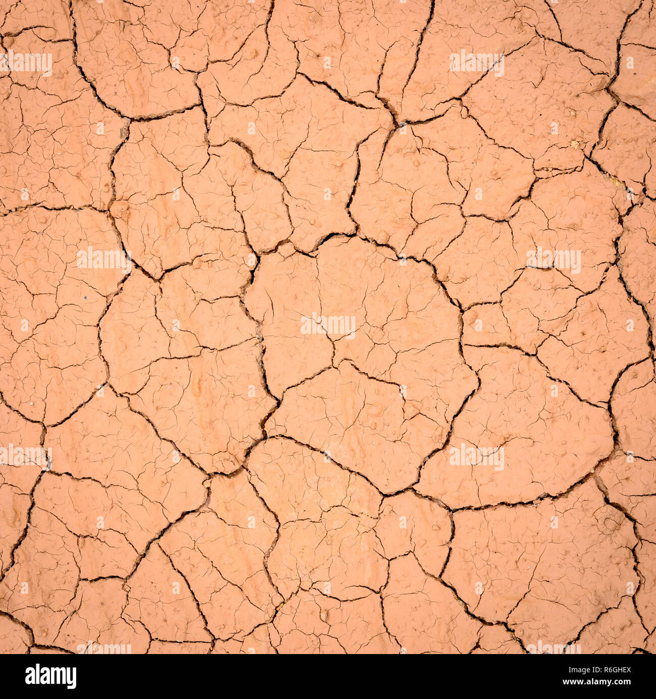 Drought land background Stock Photo - Alamy