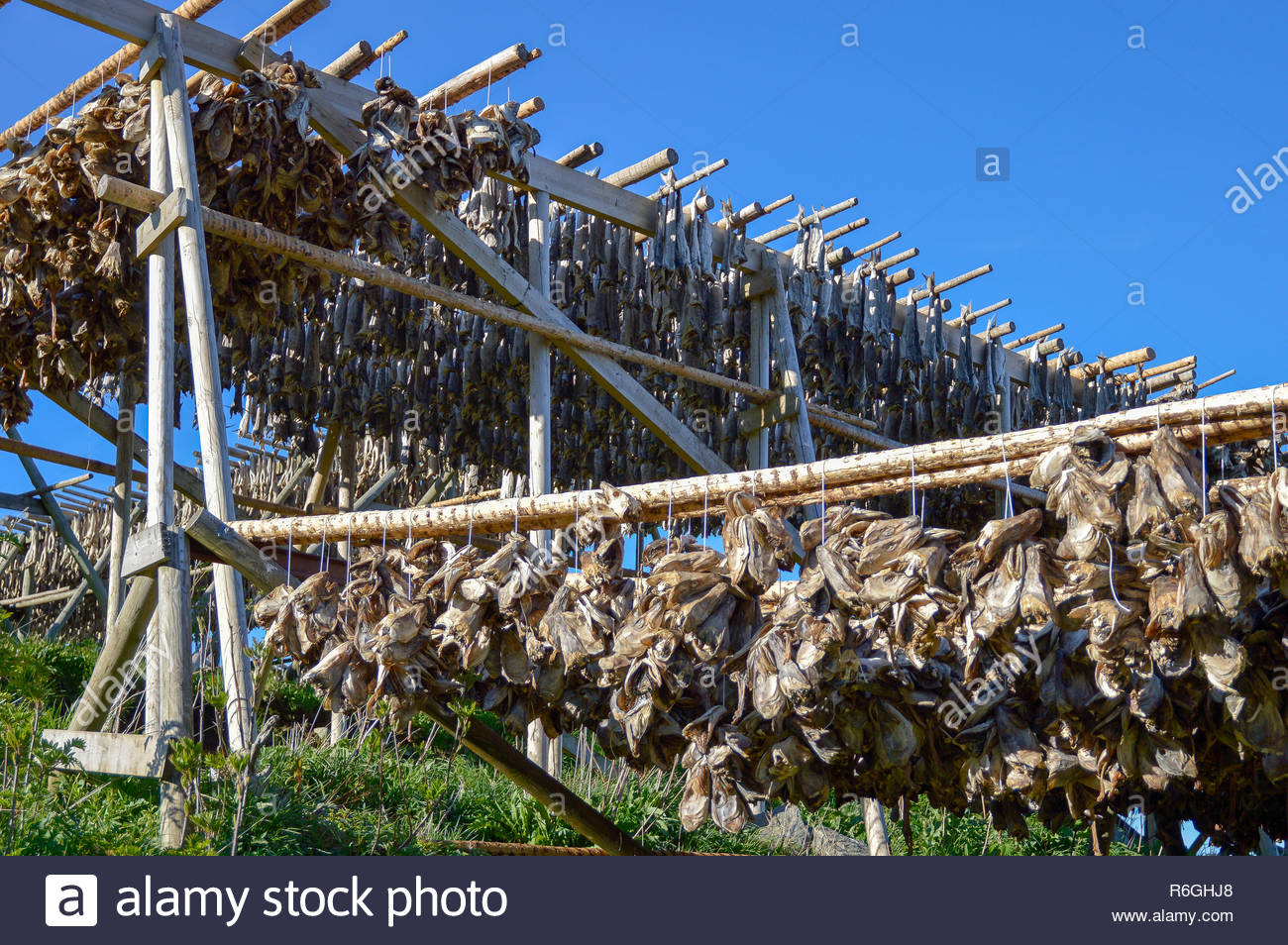 Fish Drying Flake Stock Photos & Fish Drying Flake Stock Images - Alamy