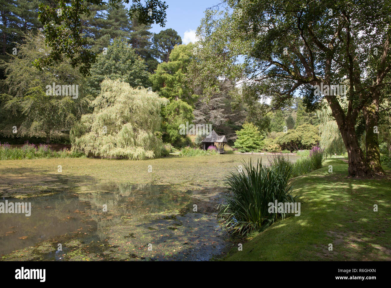 Bodnant Garden in Wales offers visitors stunning collections of plants ...