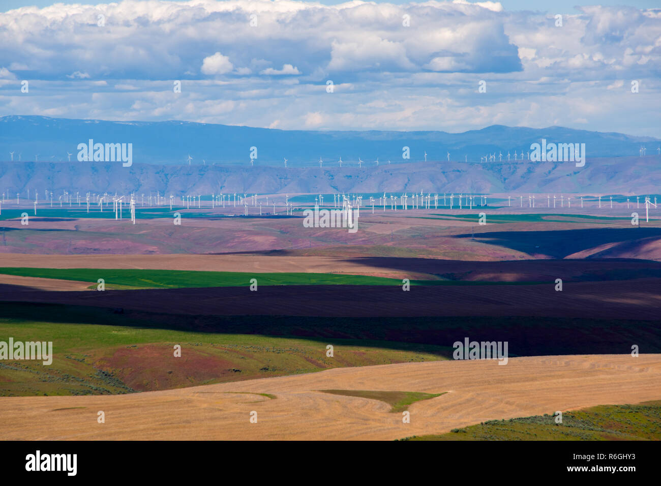 Turbine field oregon renewable alternative windfarm hi-res stock ...
