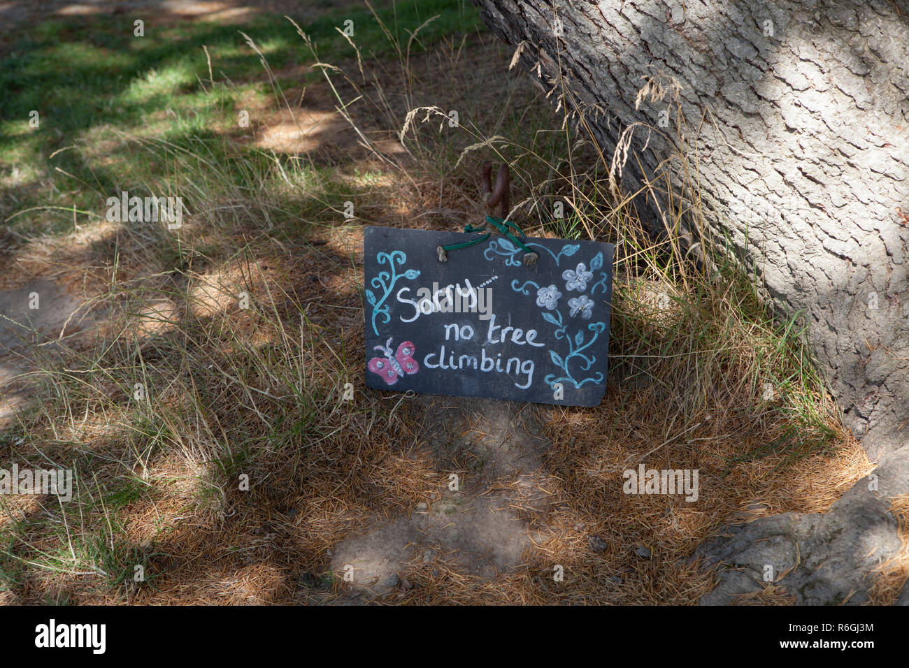 Kids climbing the tree hi-res stock photography and images - Alamy
