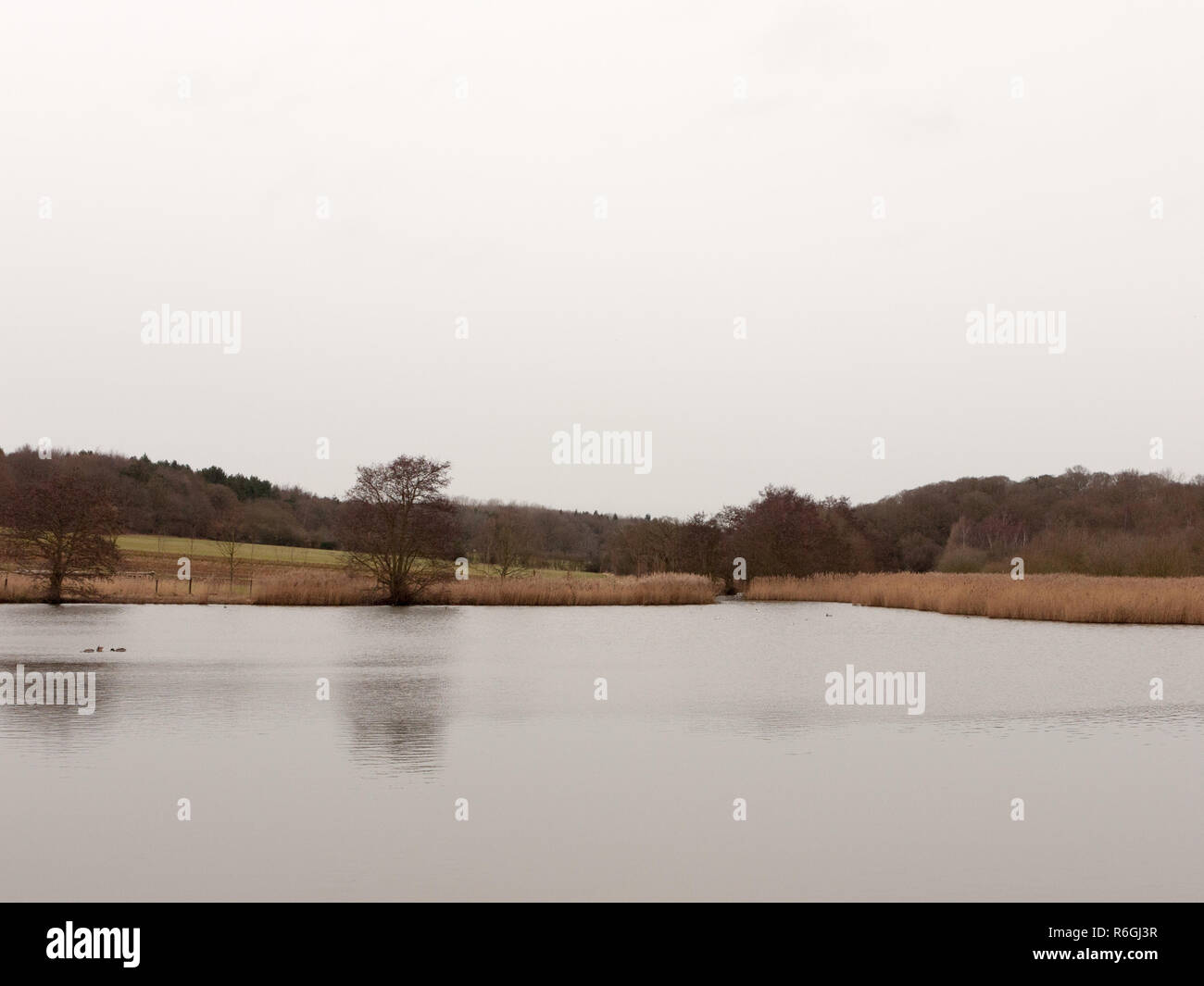 Depressing photo hi-res stock photography and images - Alamy