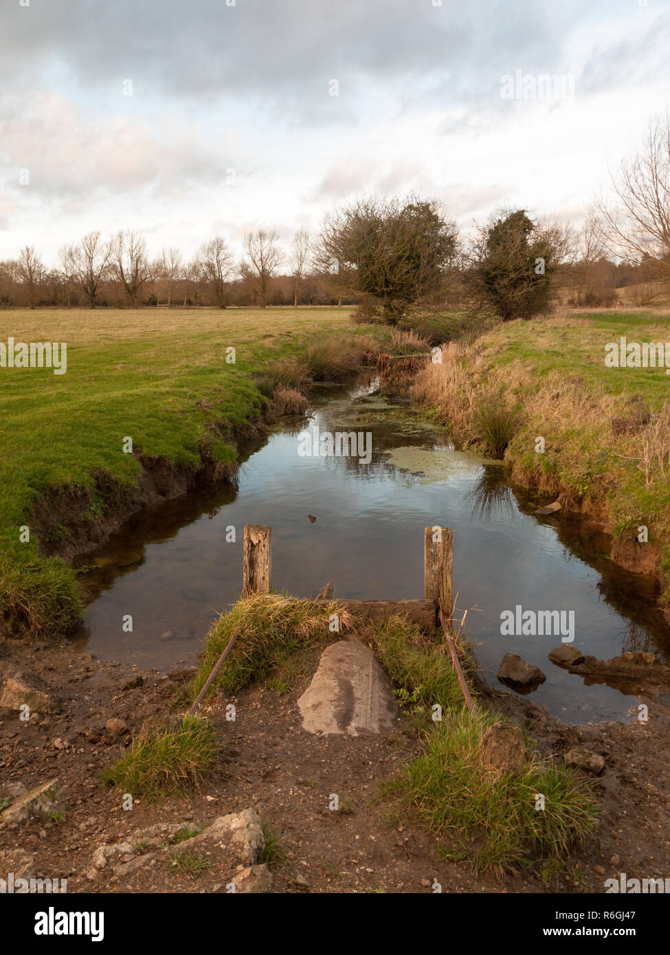 wet waterlogged country farm land stream eddy Stock Photo - Alamy