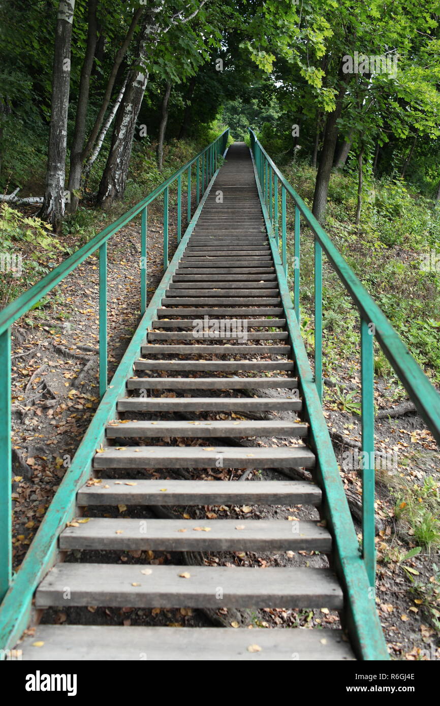 very long staircase high up, among green of trees, low angle Stock ...