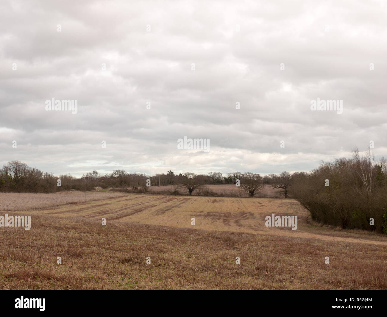 Skyline field ploughed clouds sun hi-res stock photography and images ...