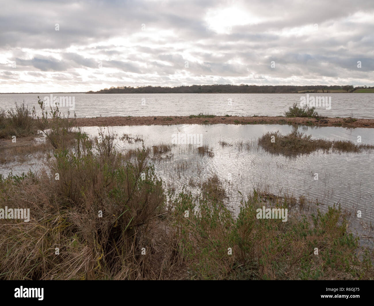 moody sky overcast autumn winter bay water ocean trees Stock Photo - Alamy