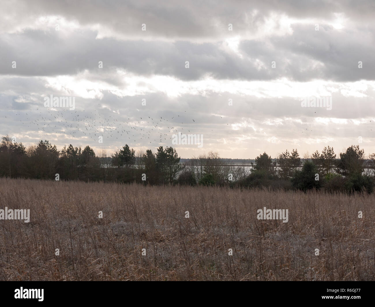 Over dried grass farm field hi-res stock photography and images - Alamy