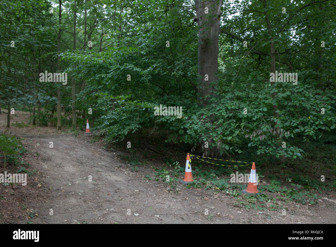 A section of woodland taped off for health and safety reasons in South ...