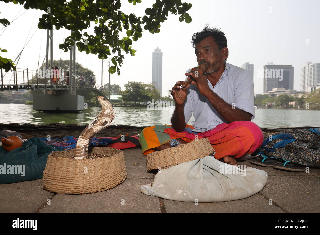 Circus snake charmer hi-res stock photography and images - Alamy