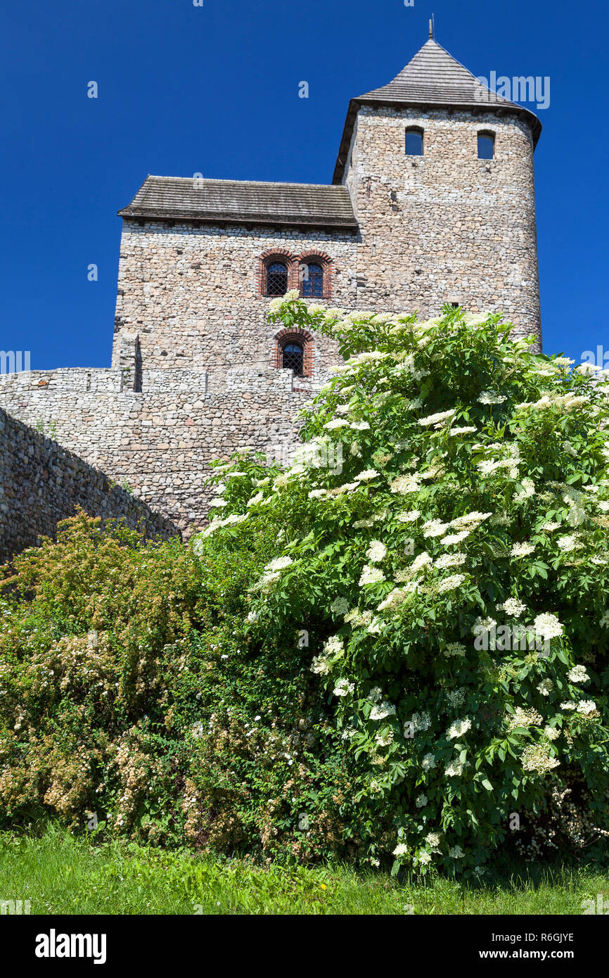 Medieval gothic castle, Bedzin Castle, Upper Silesia, Bedzin, Poland ...