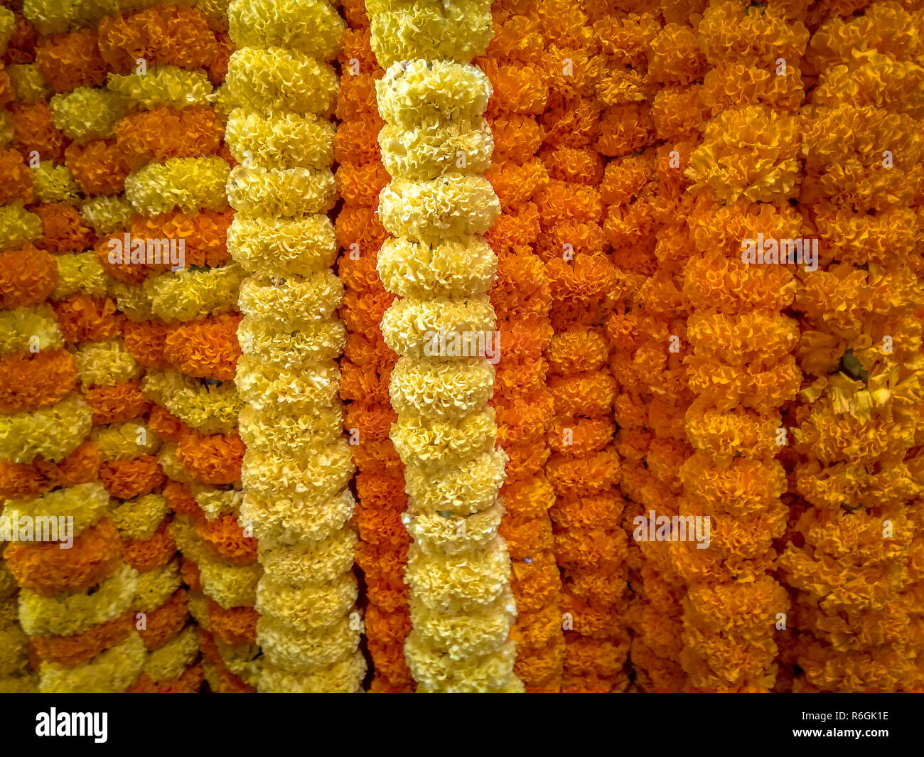 Hanging Flower Garland Stock Photos & Hanging Flower Garland Stock ...