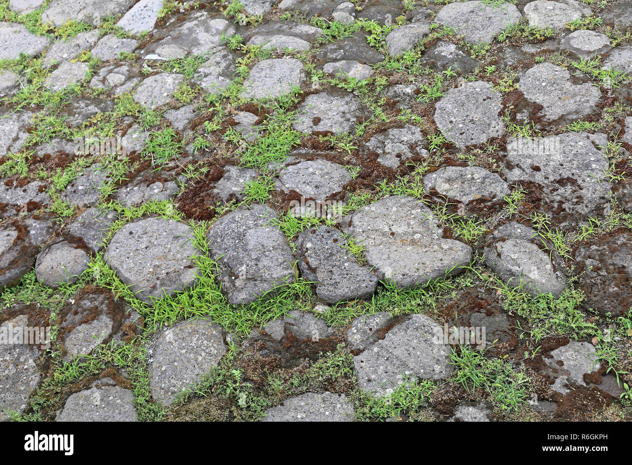 Roman pattern hi-res stock photography and images - Alamy